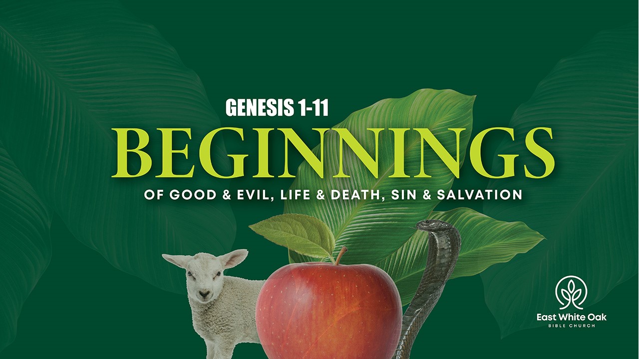 Beginnings: The Remarkable Life in the Garden of Eden / Genesis 2:1-17 ...