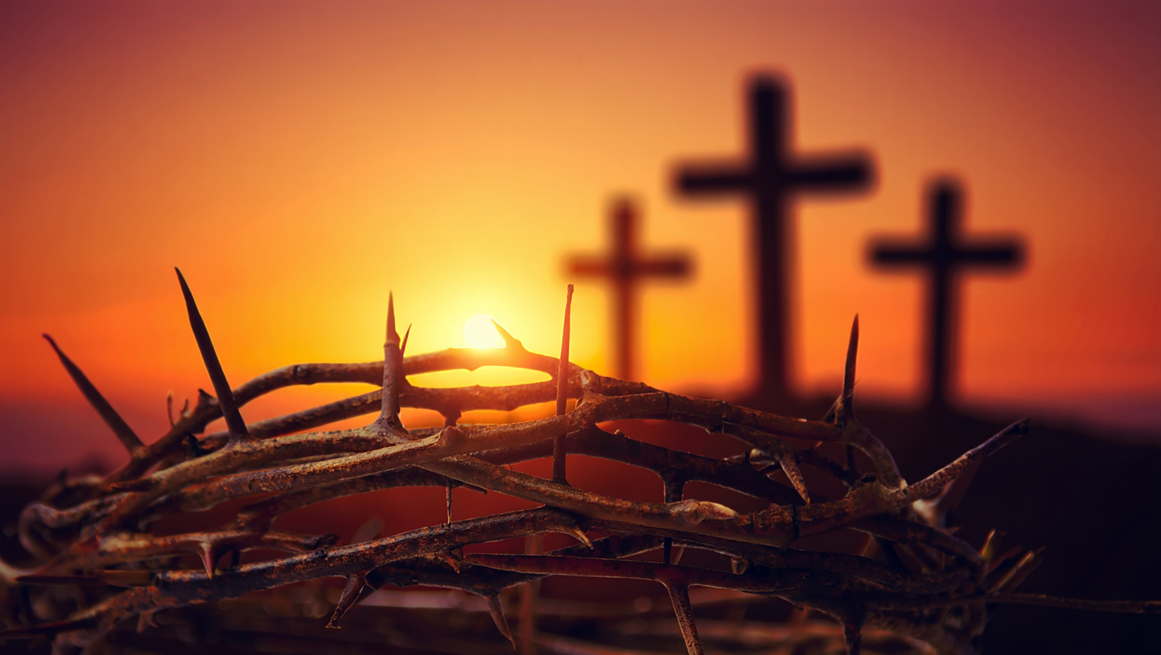 Forsaking Idols, Meeting Jesus - East White Oak Bible Church